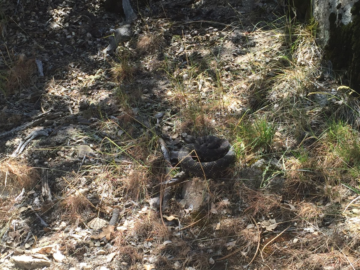 Mile 266.5 Big Bear to mile 566.5 Mojave/Tehachapi – PIE ON A TRAIL